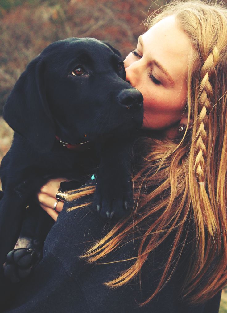 cute black lab faces - BuzzSharer.com