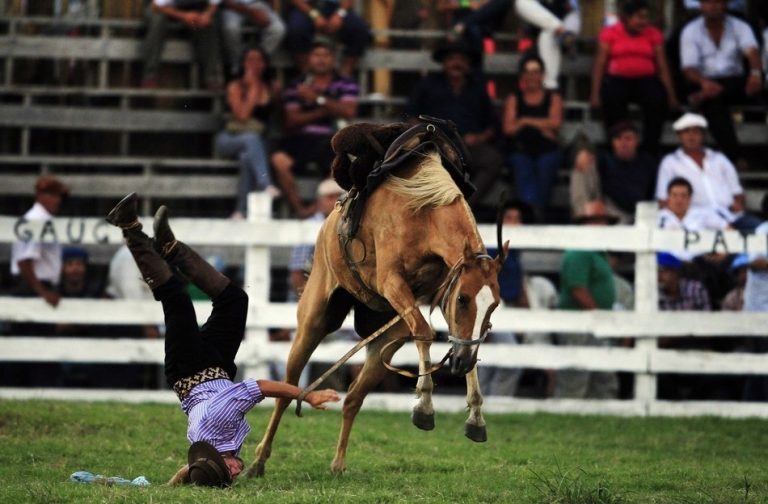 These 15 Horses Won’t Be Broken Without A Fight