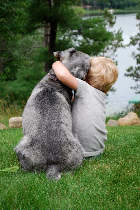 12 Things That Make Schnauzers Happy