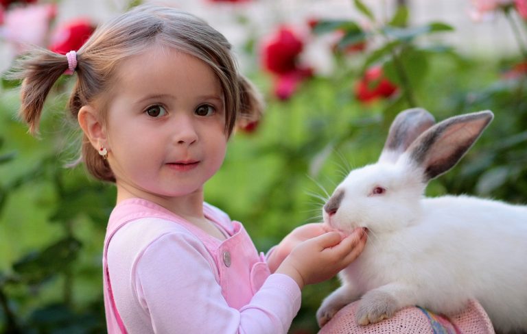 Tips on how to keep your newborn safe around animals - BuzzSharer.com