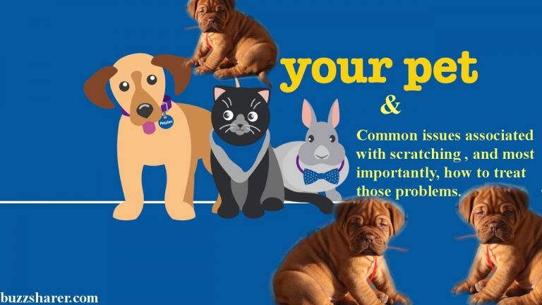 Intense Scratching In Dogs: What Are The Common Problems? - BuzzSharer.com