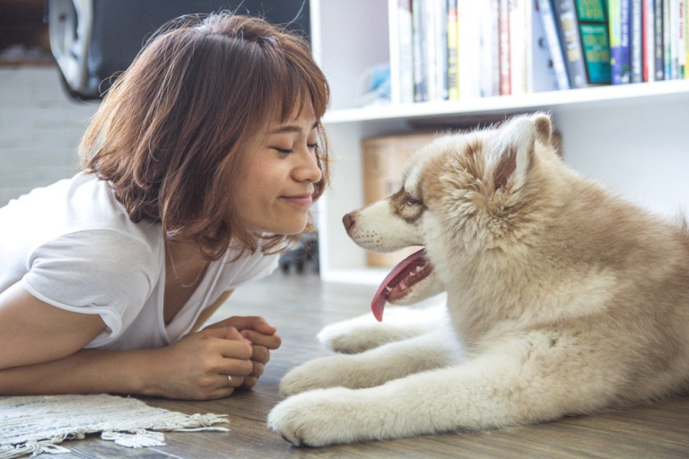 Tips For Connecting With A New Dog - BuzzSharer.com