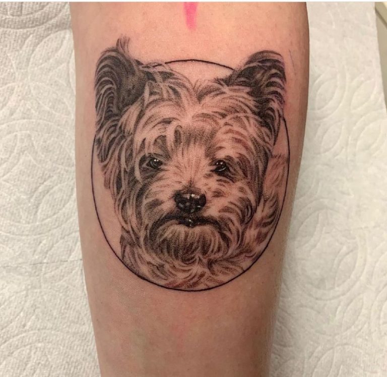 15 Yorkie Tattoo Ideas - BuzzSharer.com