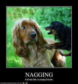 15 Funny Cocker Spaniel Memes To Make Your Day - BuzzSharer.com
