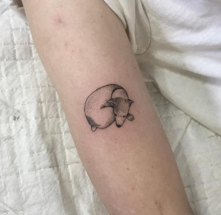 15 Jack Russell Tattoo Ideas - BuzzSharer.com