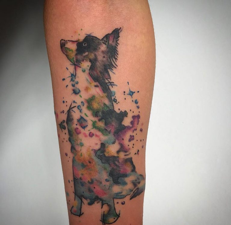 15 Border Collie Tattoo Ideas - Page 5 of 5 - BuzzSharer.com