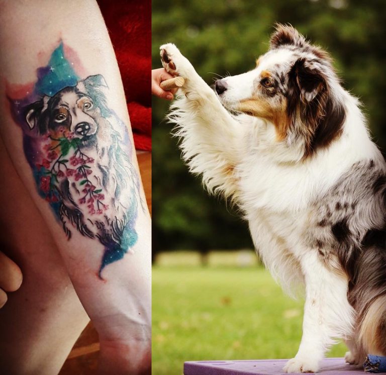 15 Australian Shepherd Tattoo Ideas - Page 3 of 5 - BuzzSharer.com