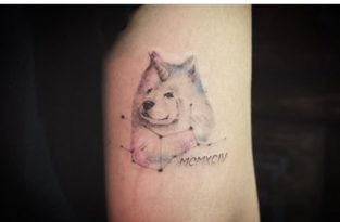 15 Ideas for Samoyed Tattoo - BuzzSharer.com