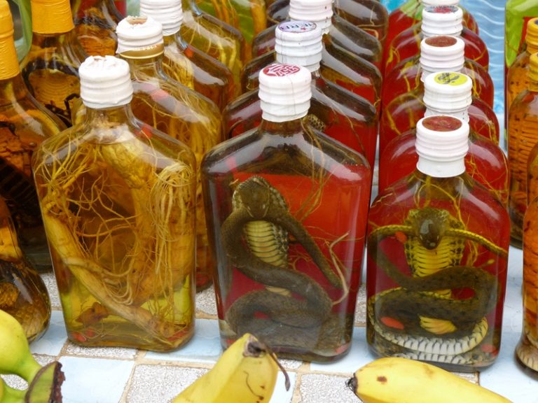 Exotic Drink: Snake Wine - BuzzSharer.com