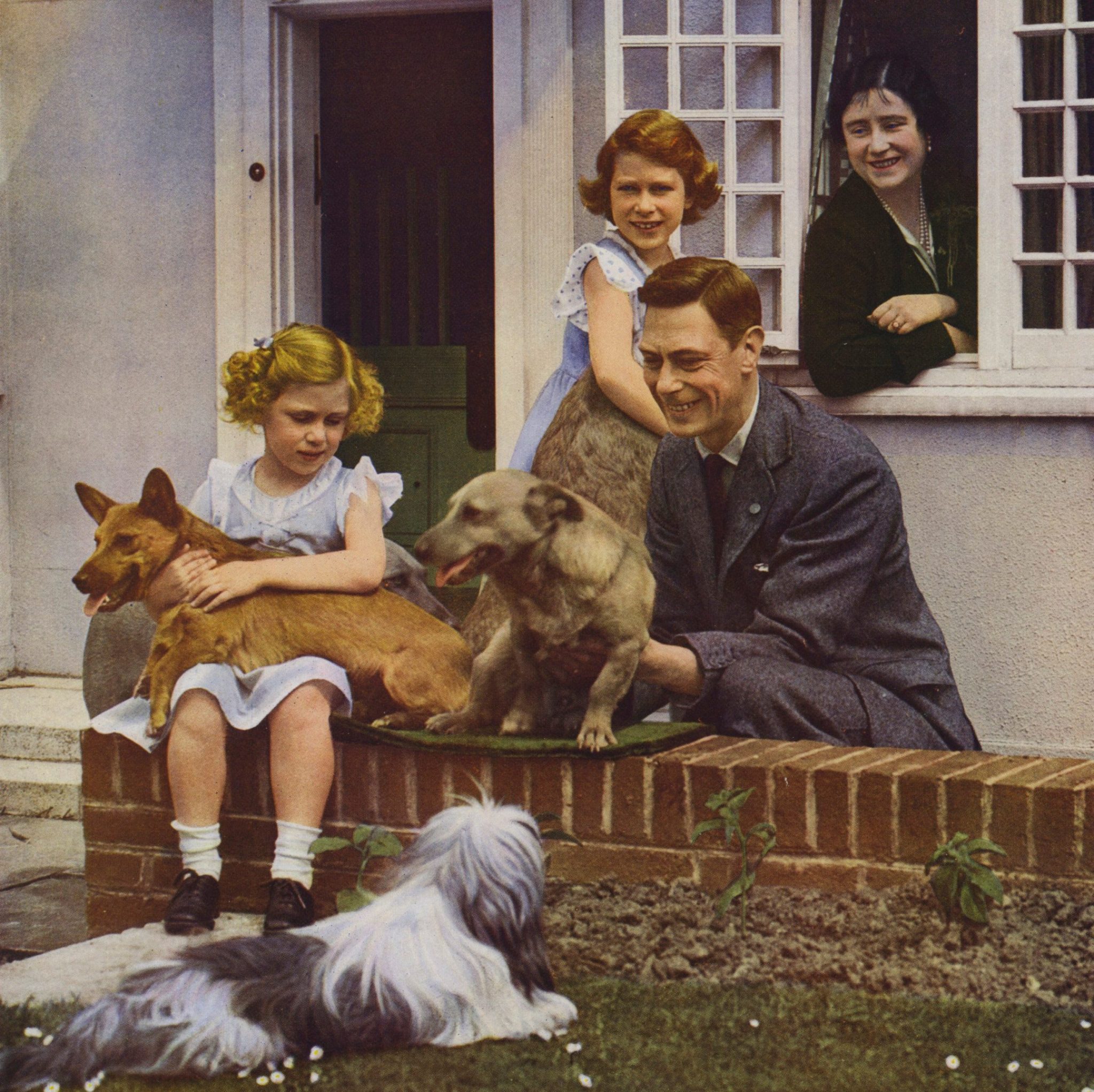 A Panorama of The Queen and Royal Corgis - BuzzSharer.com